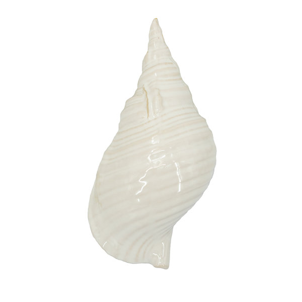 Beachcrest Home™ 12X6x4.5" Lifelike Ceramic Seashell Sculpture With ...