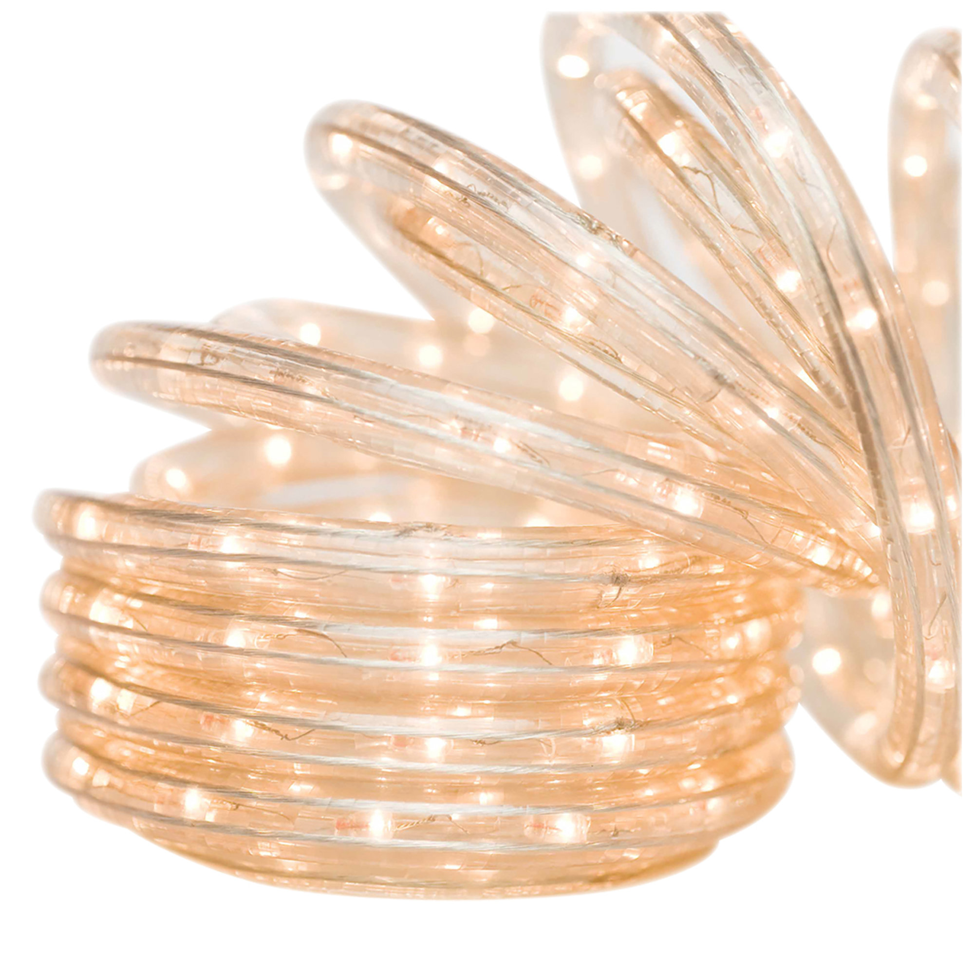 The Holiday Aisle® 18 Ft Rope Light | Wayfair