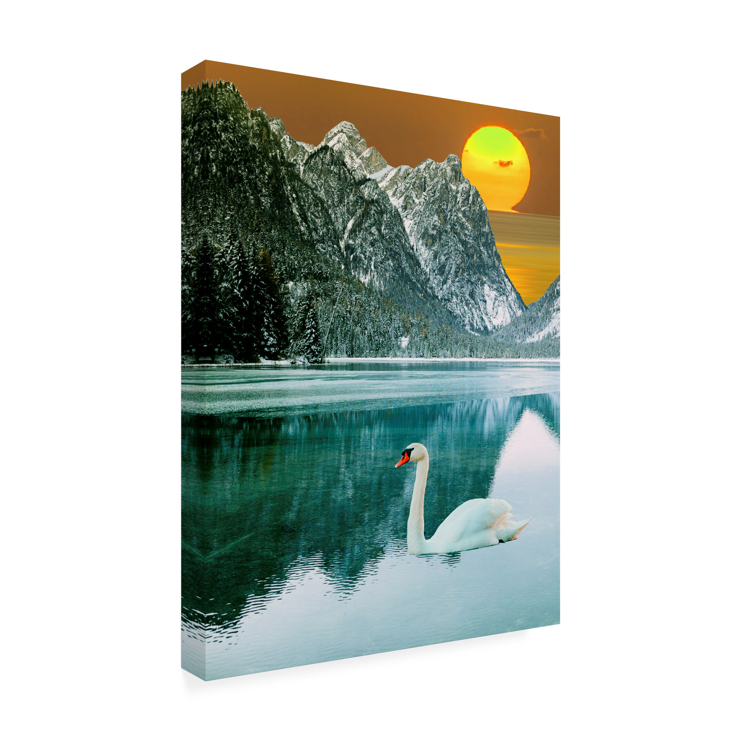 Millwood Pines Melissa Wang Swan At Dawn I Canvas Art | Wayfair