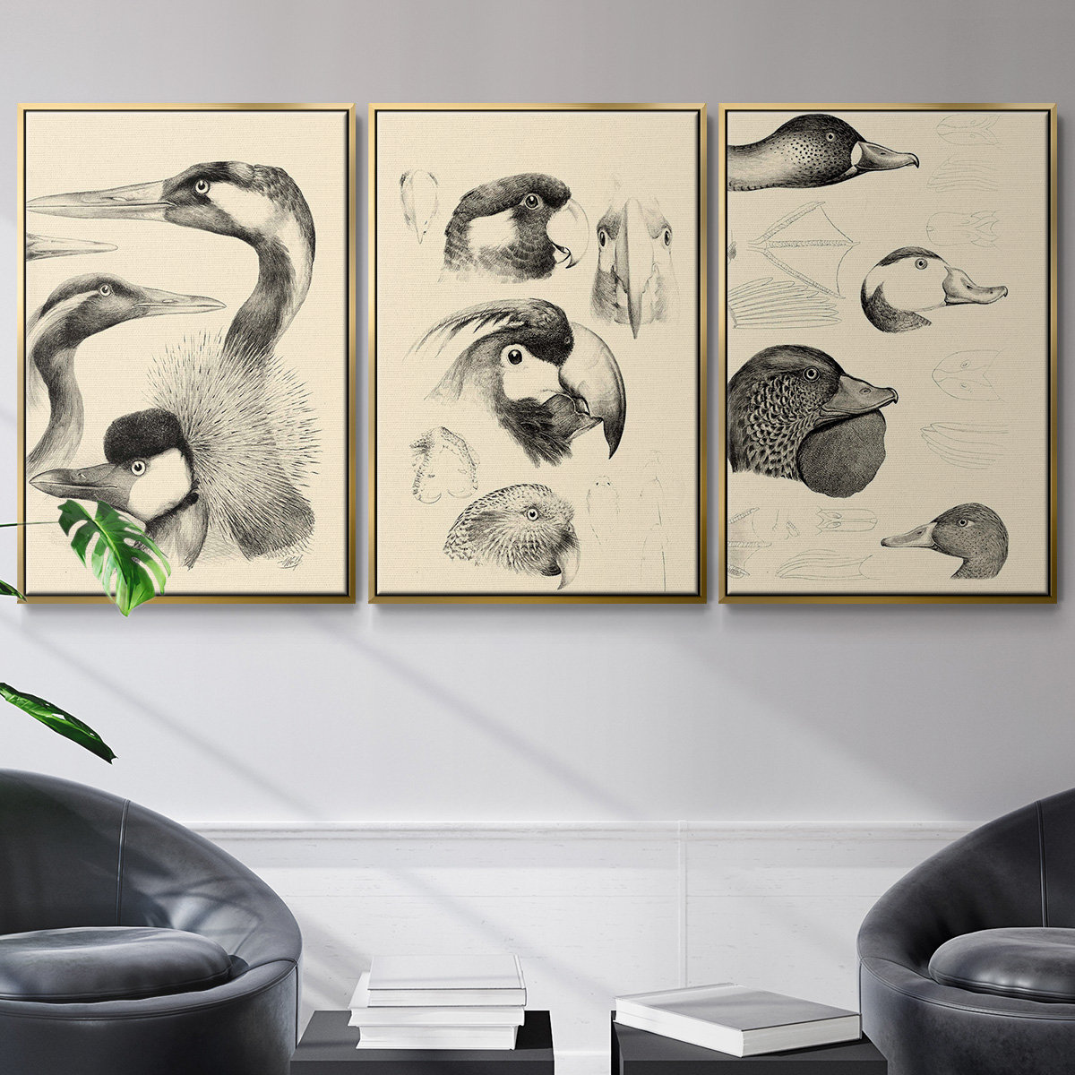 Rosalind Wheeler Waterbird Sketchbook I - 3 Piece Floater Frame Print ...