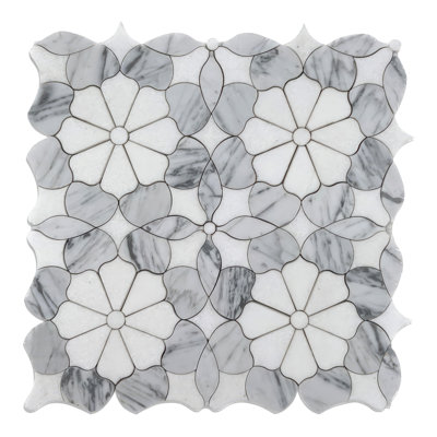 Maricera 12" x 12" Marble Novelty Mosaic Wall & Floor Tile | Wayfair