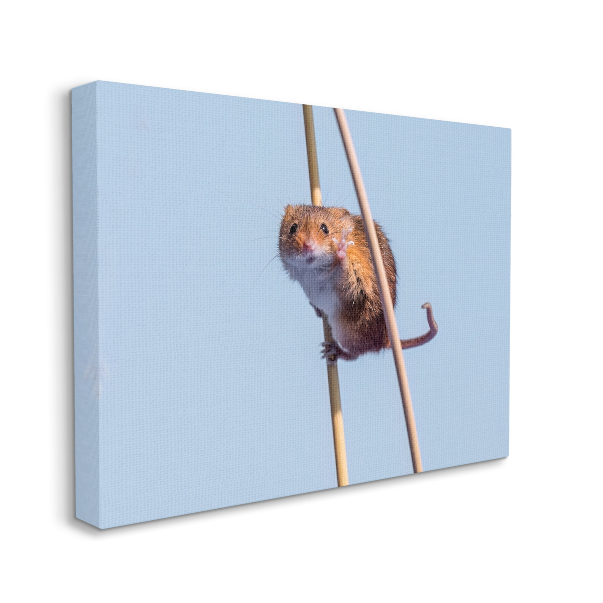 Ebern Designs Funny Balancing Mouse by Michael Erwin | Wayfair
