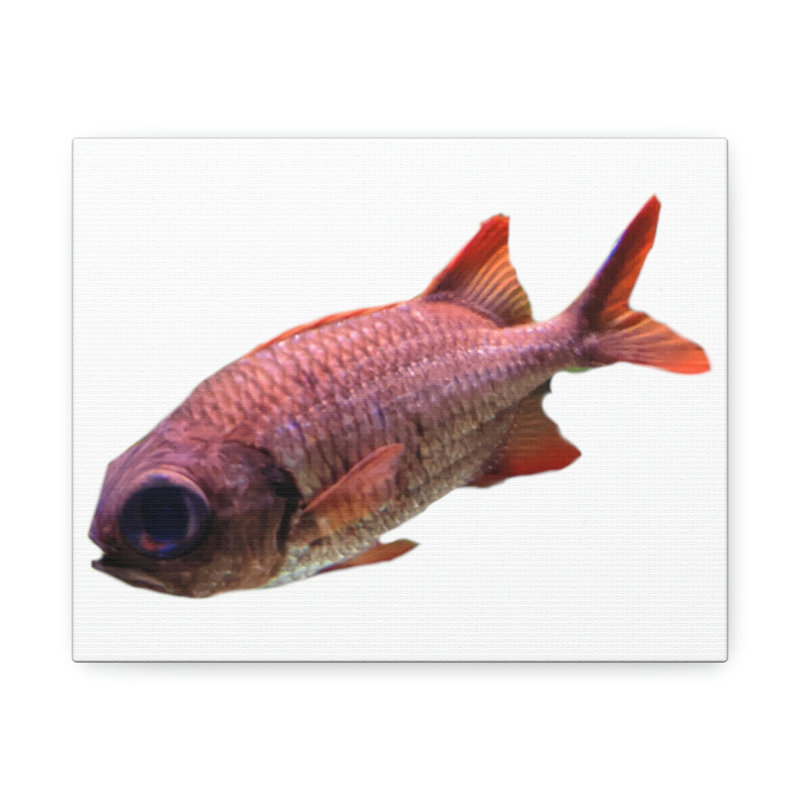 Rosecliff Heights Red Fish - Illustration on Canvas | Wayfair