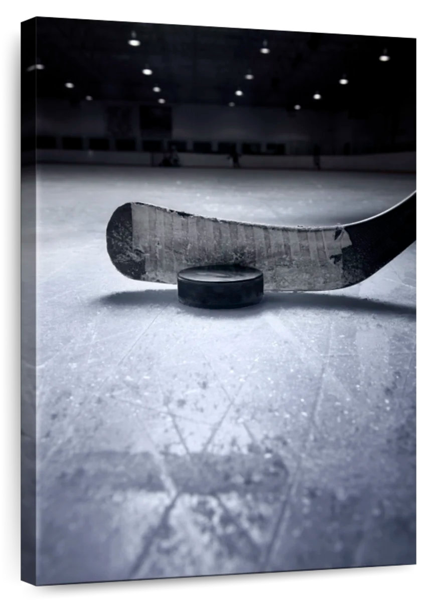 Ebern Designs Monochrome Hockey Stick And Puck - Wayfair Canada