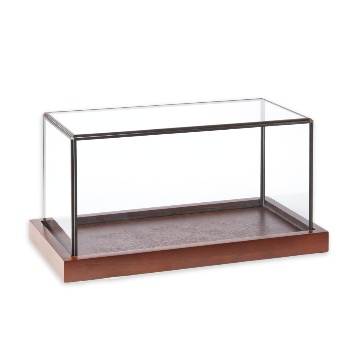 Ebern Designs Display Case | Wayfair