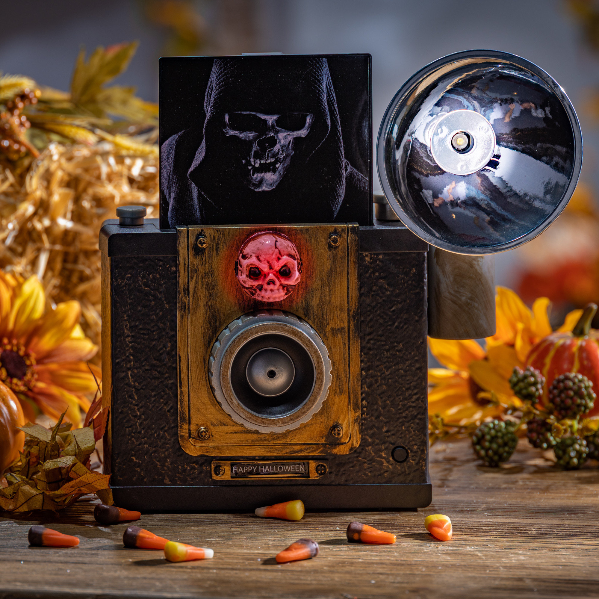The Holiday Aisle® Animated Halloween Camera With Sound And Motion ...