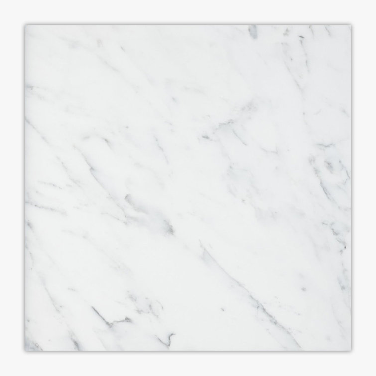 Calacatta Tile Statuary 18" x 18" Marble Wall & Floor Tile | Wayfair