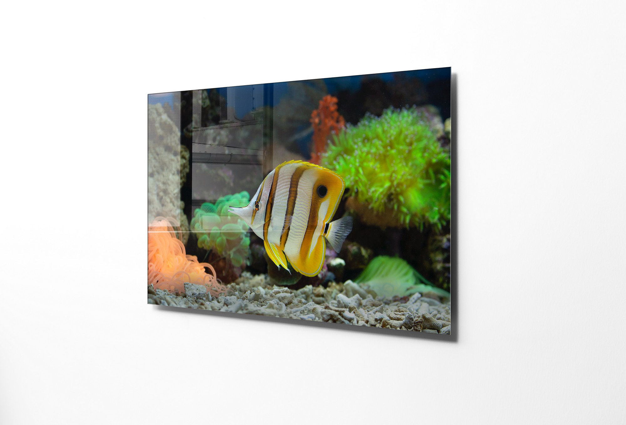 Ivy Bronx Glassen 2 | Wayfair