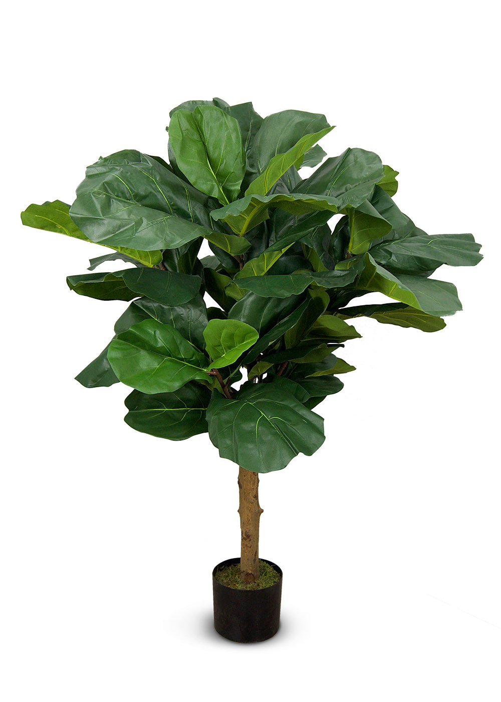 Primrue Faux Botanical Fiddle Leaf Tree in Green Finish 51'' Height ...