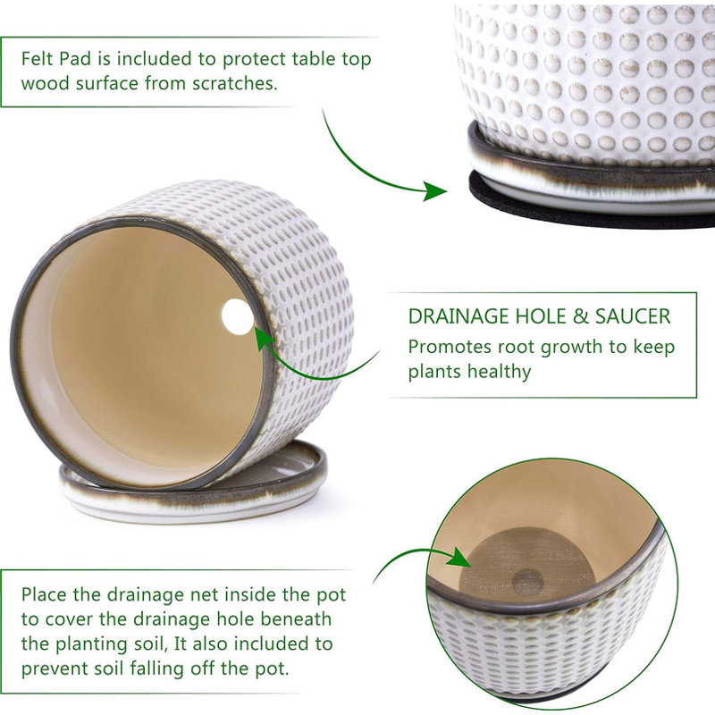 Dakota Fields Dannielyn Ceramic Pot Planter | Wayfair