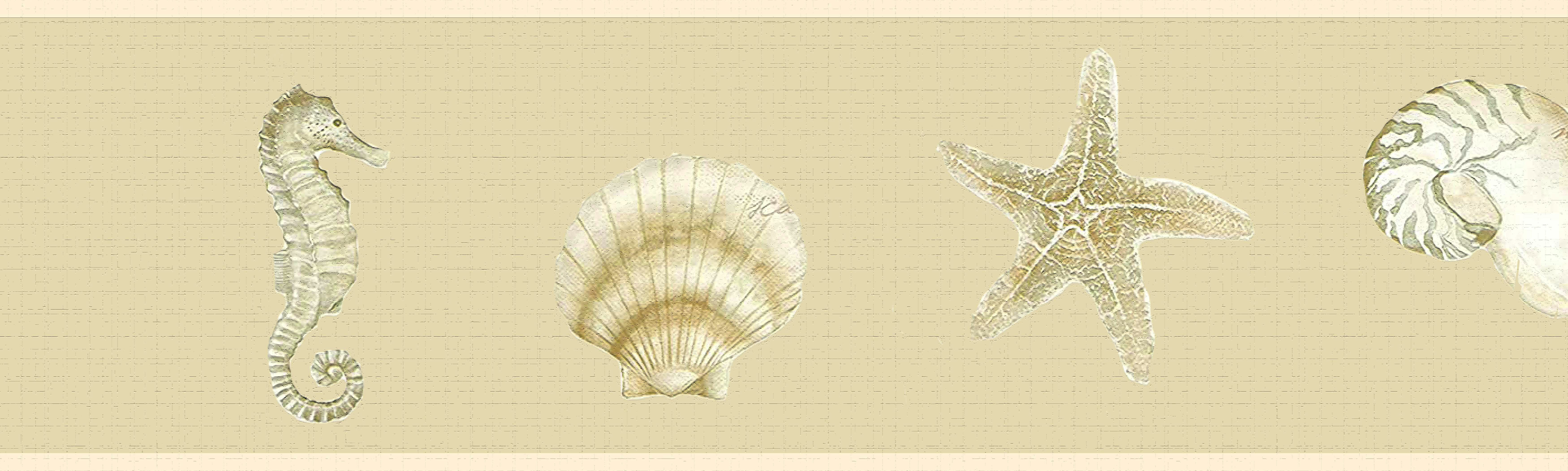 seashell wallpaper border
