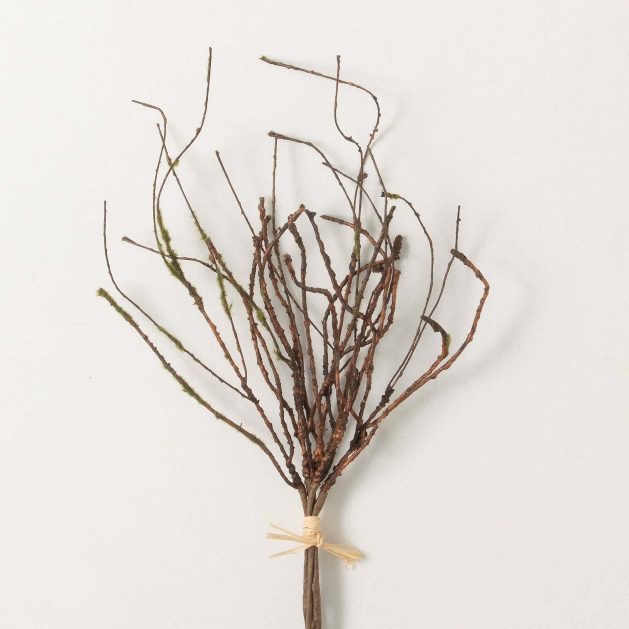 Dakota Fields Sullivans Artificial Budding Twig Bush 19.5"H; Brown ...