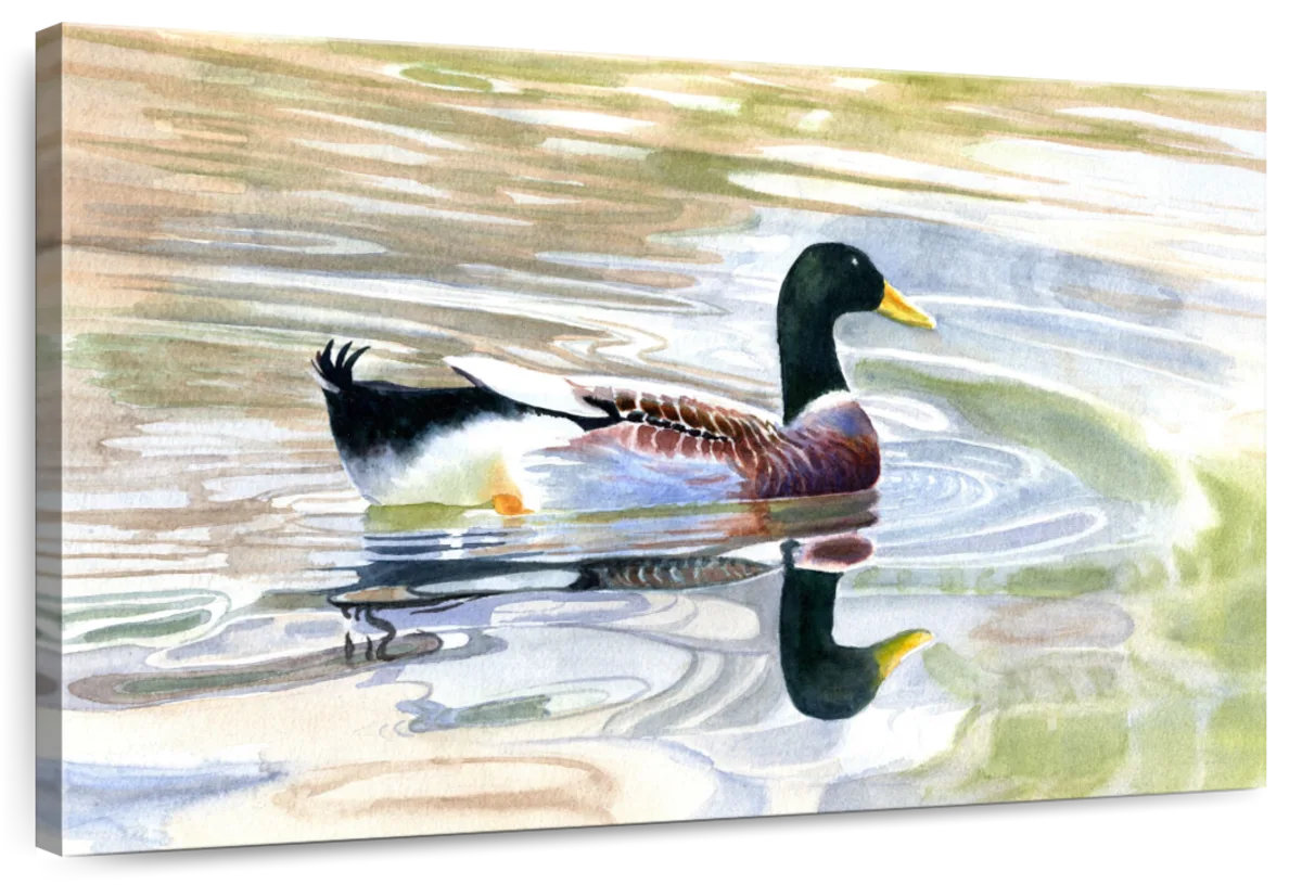 Ebern Designs Brampt Duck Water Reflection - Wayfair Canada