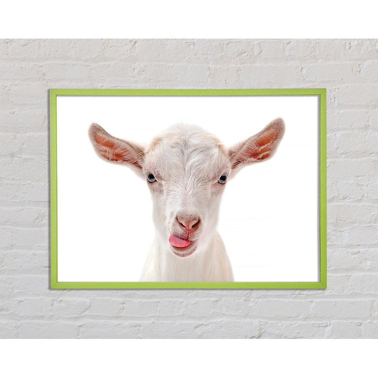 August Grove Marlyn Goating Around - Single Picture Frame Art Prints ...