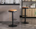 Latitude Run® Reld Swivel Adjustable Height Stool & Reviews | Wayfair