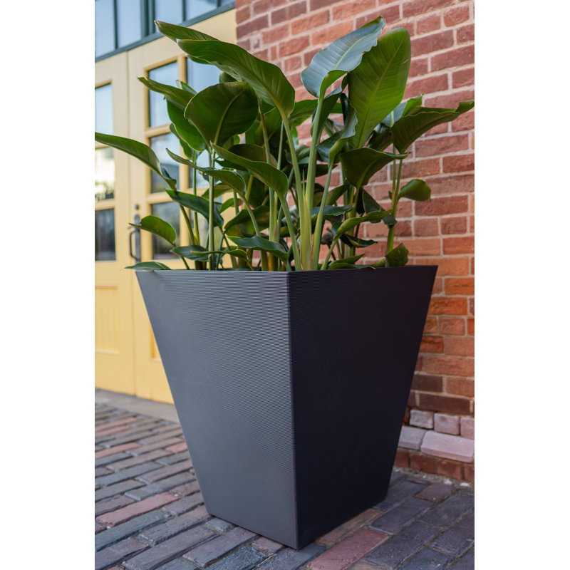 Veradek Pro Series Linear Thirty Planter & Reviews | AllModern
