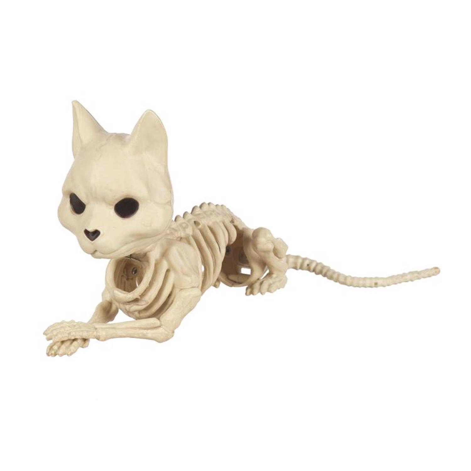 The Holiday Aisle® 5 in. Skeleton Cat Halloween Decor | Wayfair