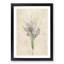 East Urban Home 'Autumn Crocus Flowers' by Pierre-Joseph Redoute ...