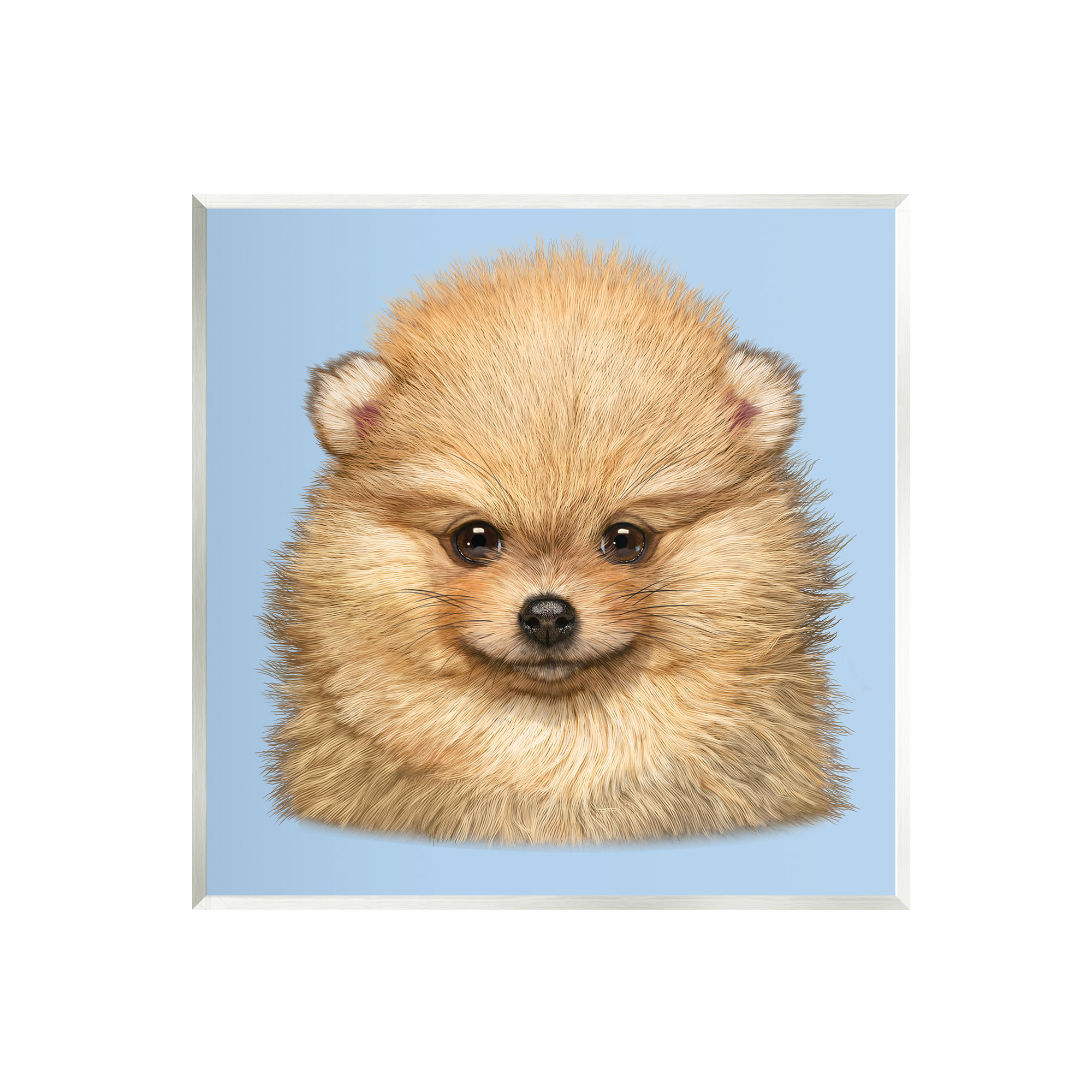 Stupell Industries Az-219-Framed " Pomeranian Face On Blue " by Vincent ...