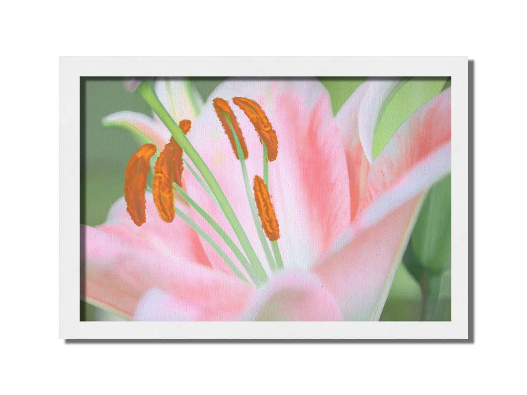 Wildon Home® Lily A Go Go by Hal Halli. Paper Print - Mounted & Framed ...