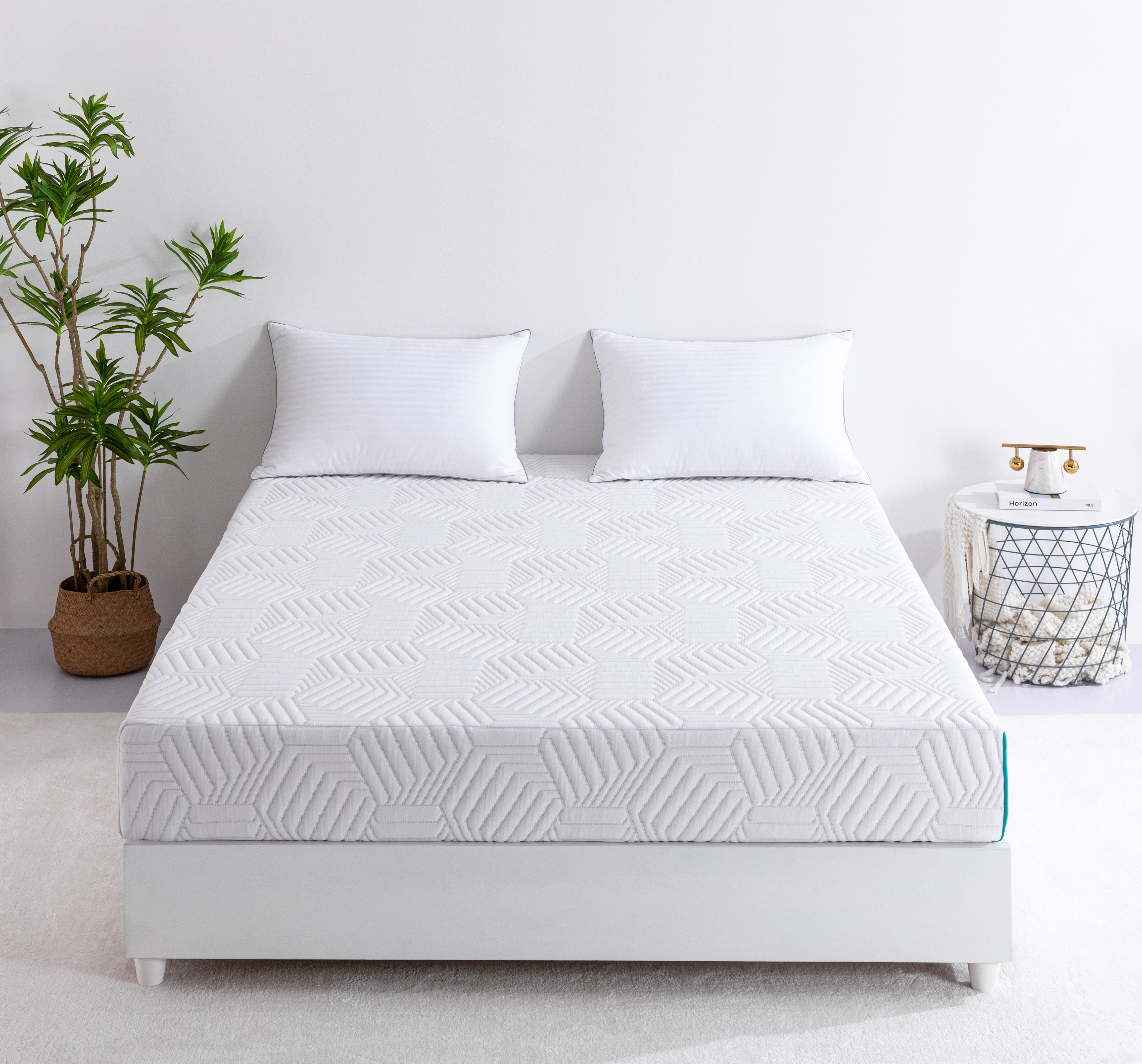 Alwyn Home Essential Plus 8" Memory Foam Medium Plush Mattress In A Box ...