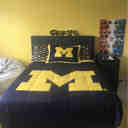 College Covers NCAA Sheet Set & Reviews | Wayfair