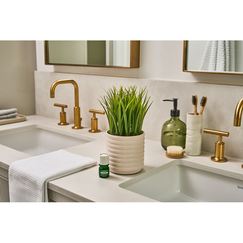 Lifelines Plant Diffuser - Grass Plant - Bubble White & Reviews | Wayfair