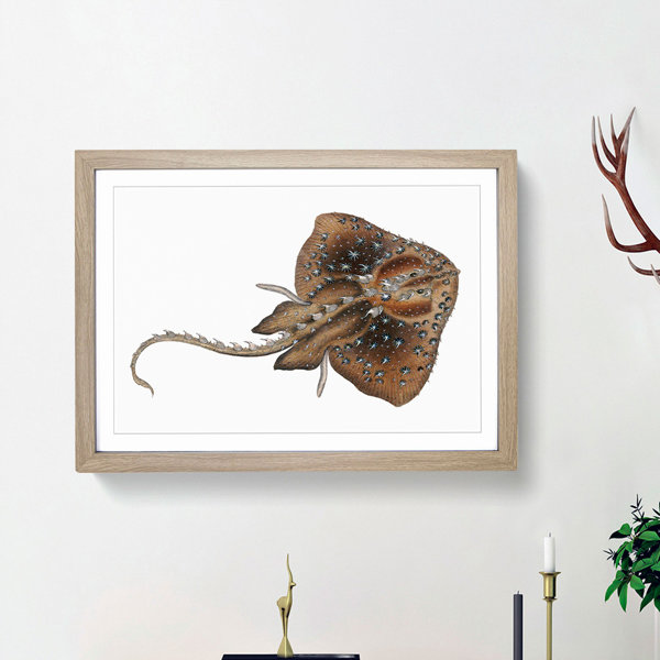 East Urban Home Starry Ray by Edward Donovan - Picture Frame Art Print ...