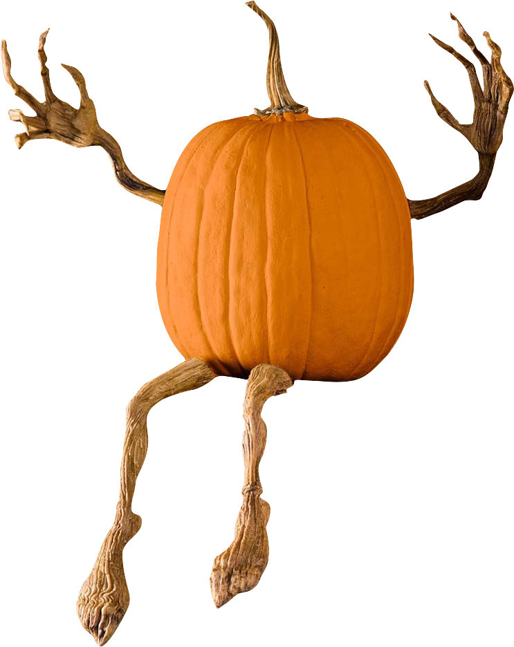 Plow & Hearth Posable Pumpkin Vine Arms and Legs Set, Includes 4 Pieces ...