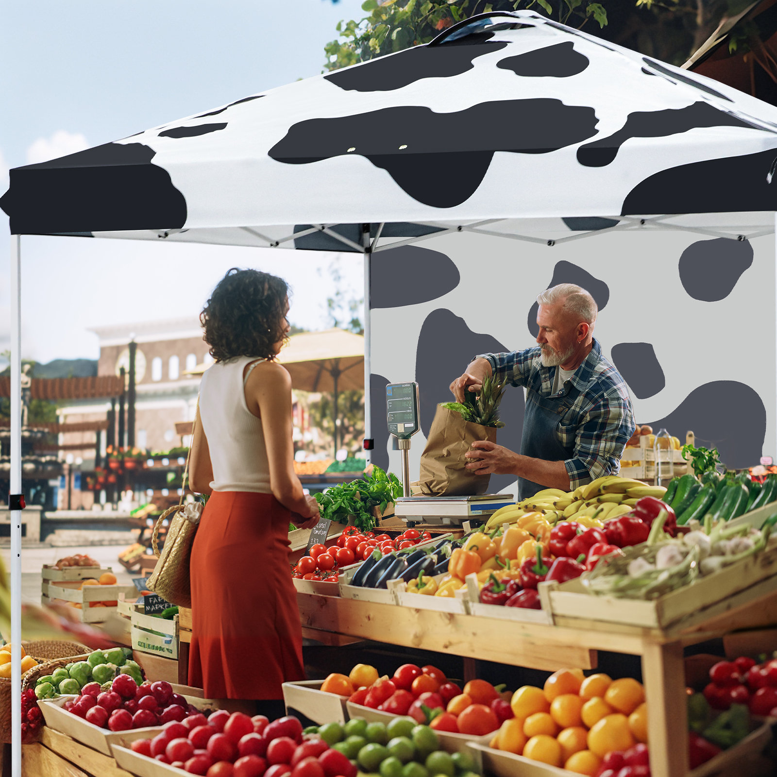 EAGLE PEAK 10 Ft. W x 10 Ft. D Steel Pop-Up Canopy | Wayfair