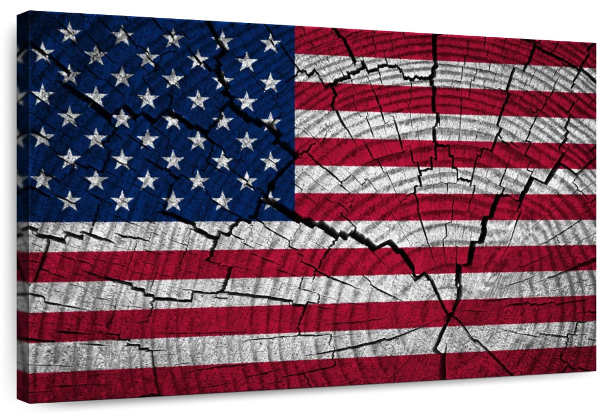 Elephant Stock Tree Stump American Flag - Wayfair Canada