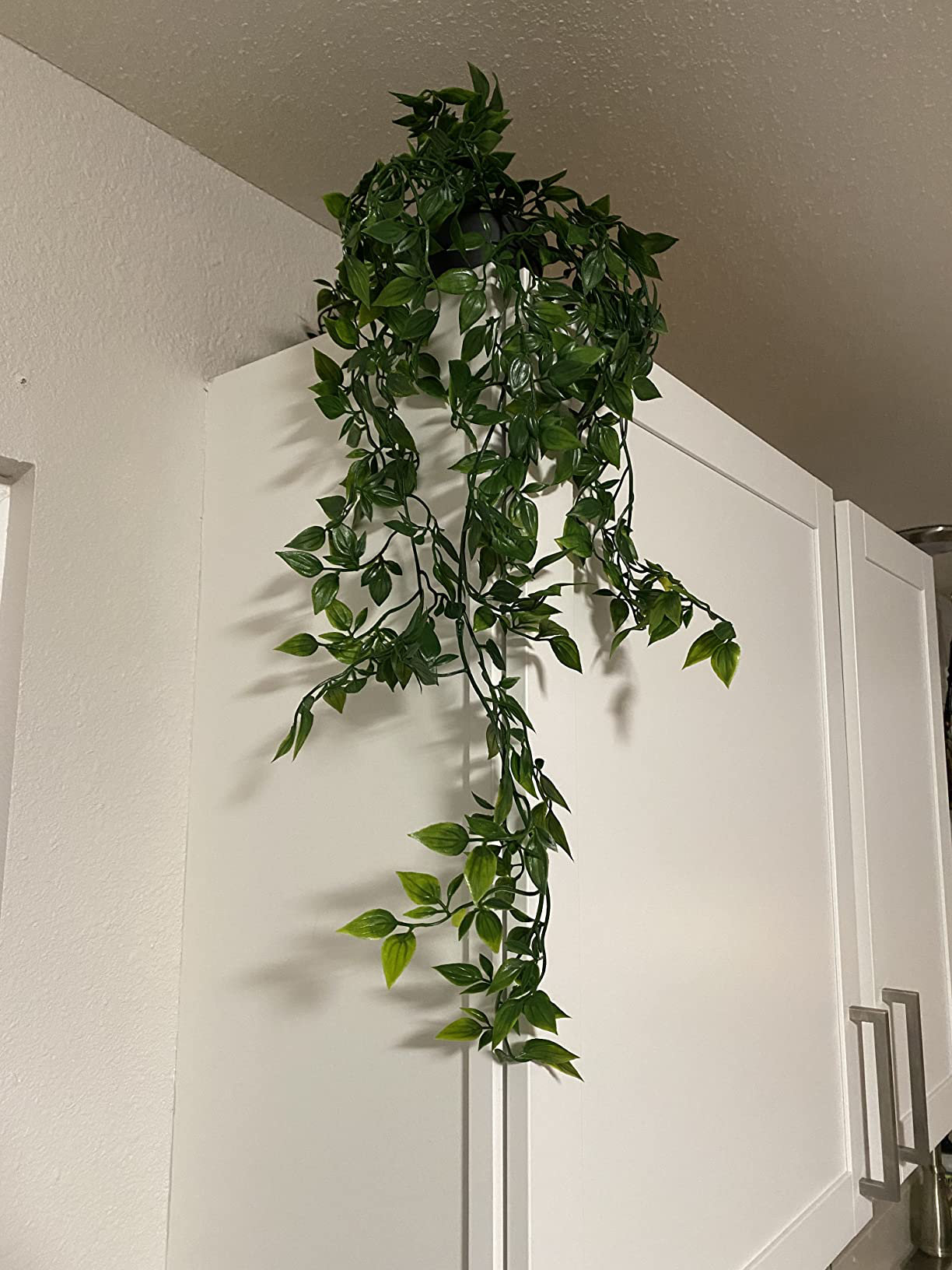 Primrue Fake Hanging Plants, Artificial Small Potted Plants | Wayfair