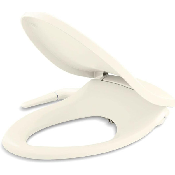 BEACHES GO GREEN, INC. Elongated Bidet Toliet Seat, Manual Non-Electric ...