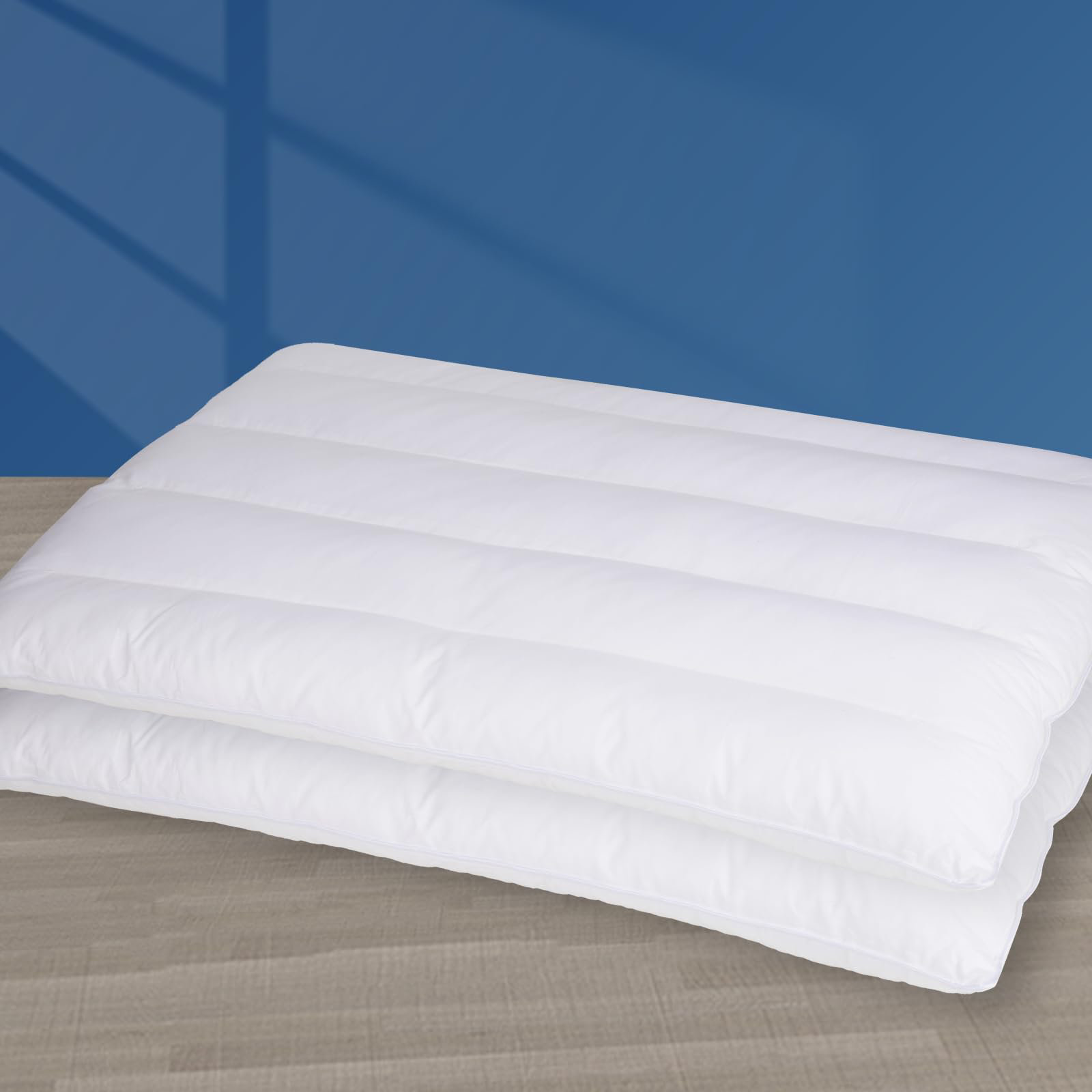 Alwyn Home 2 Packs Queen Size Ultra Flat Small Pillow for Sleeping 2.5 ...