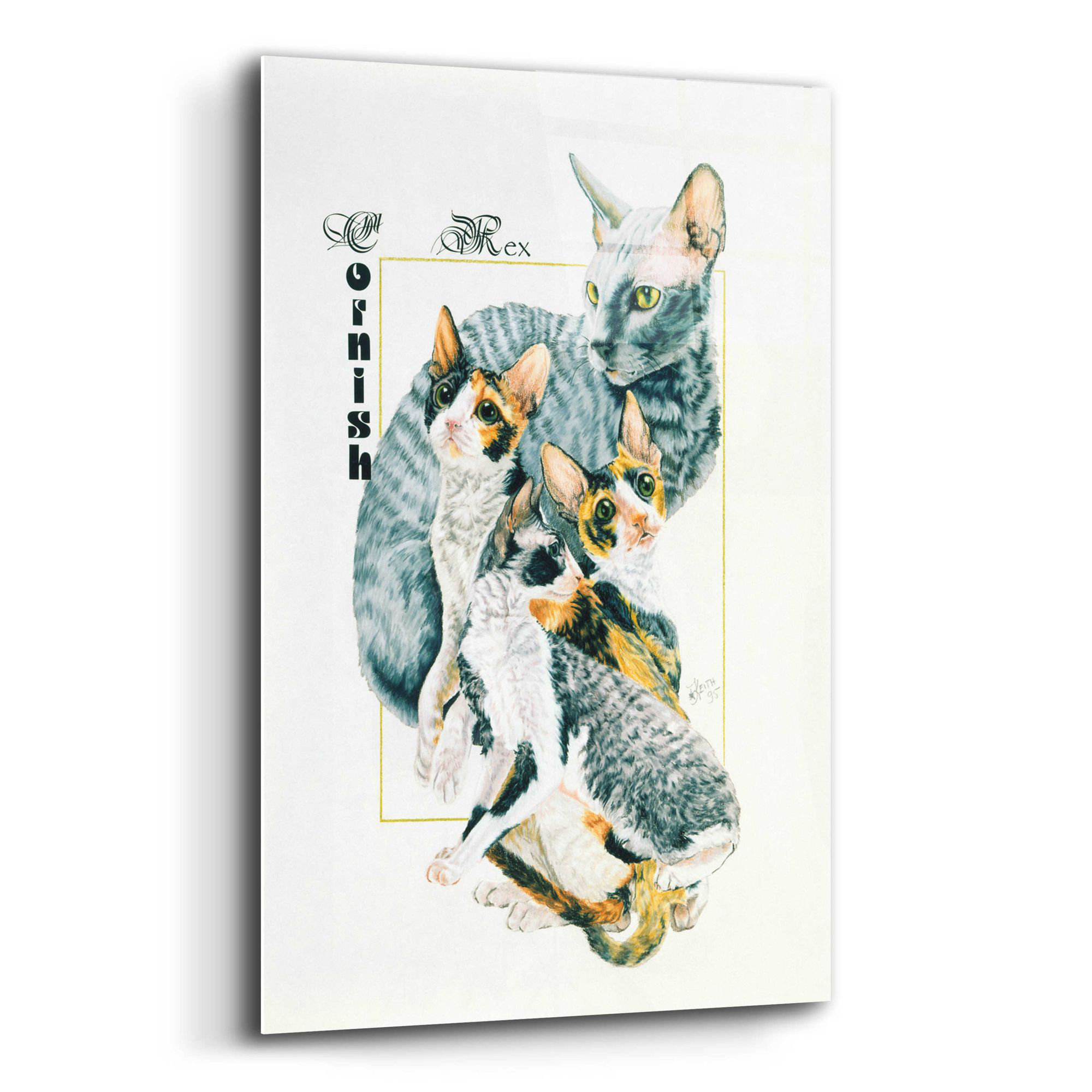 Winston Porter Cornish Rex sur plastique / acrylique par Barbara Keith ...