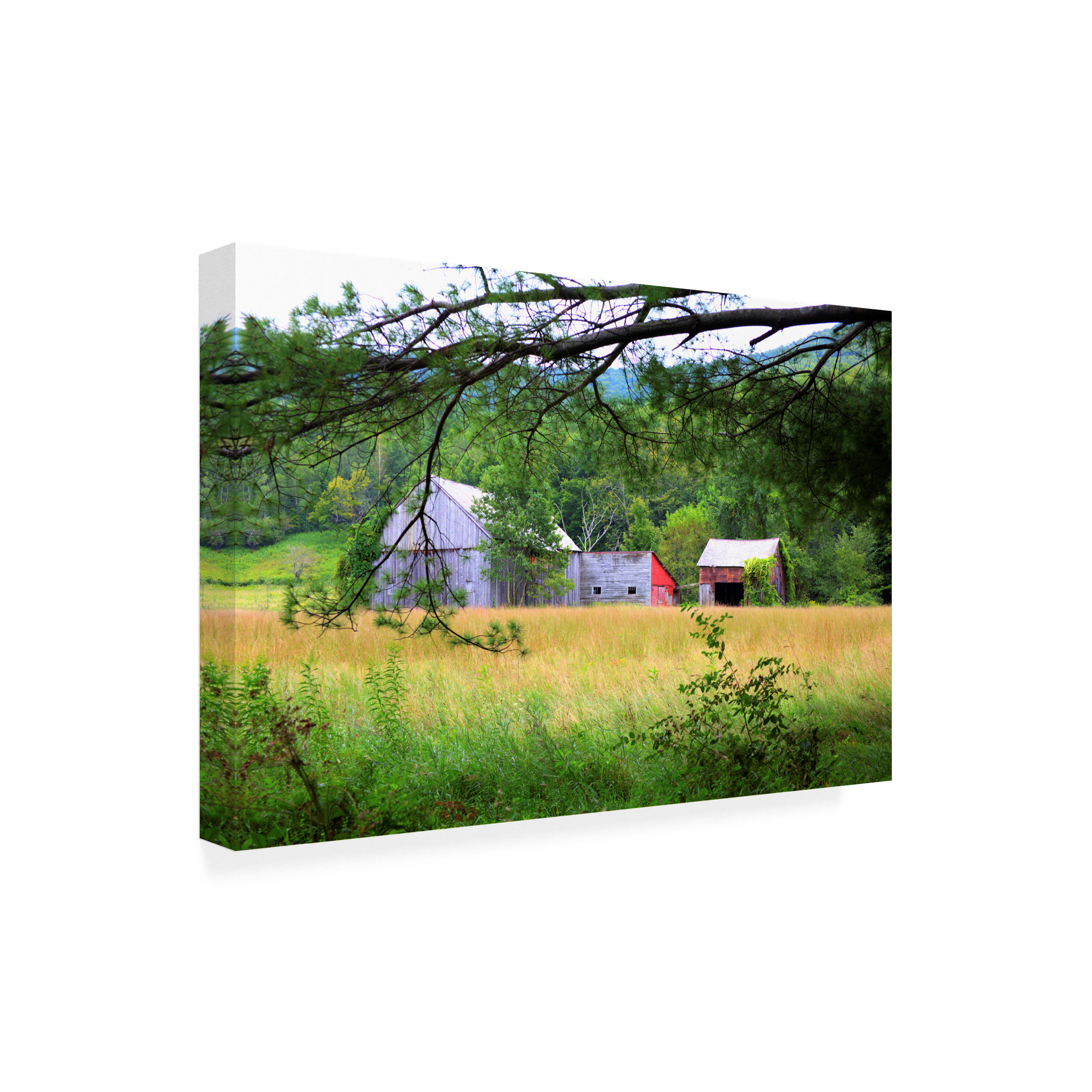 Ebern Designs Beyond The Battenkill On Canvas by Stephen Goodhue Canvas ...