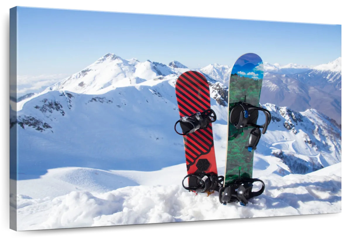 Elephant Stock Two Snowboards | Wayfair