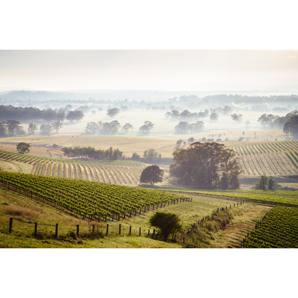 Latitude Run® Aninye Fog Over The Vineyards On Canvas by Halans ...