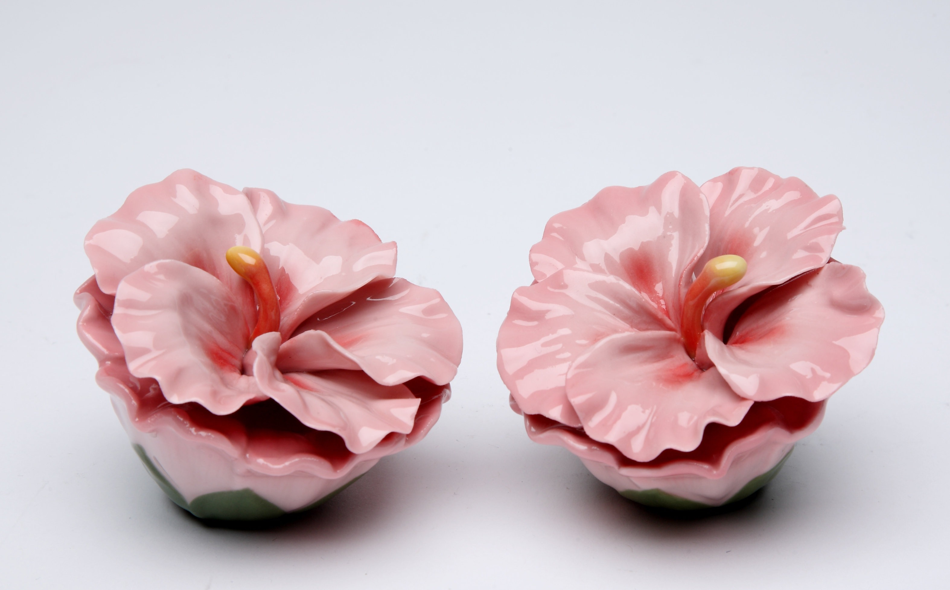 Cosmos Gifts Hibiscus Rosa Salt and Pepper Set & Reviews | Wayfair