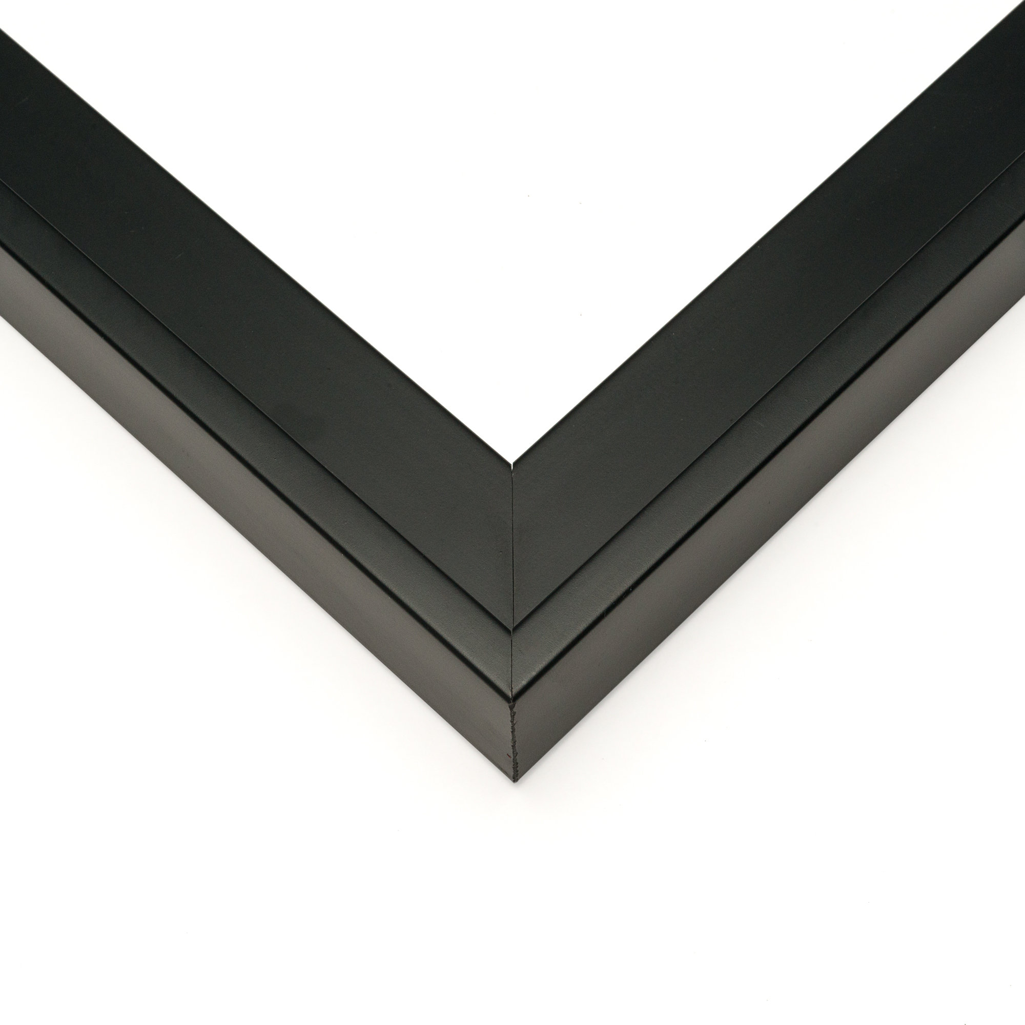 Latitude Run® Enette Solid Wood Floater Picture Frame | Wayfair