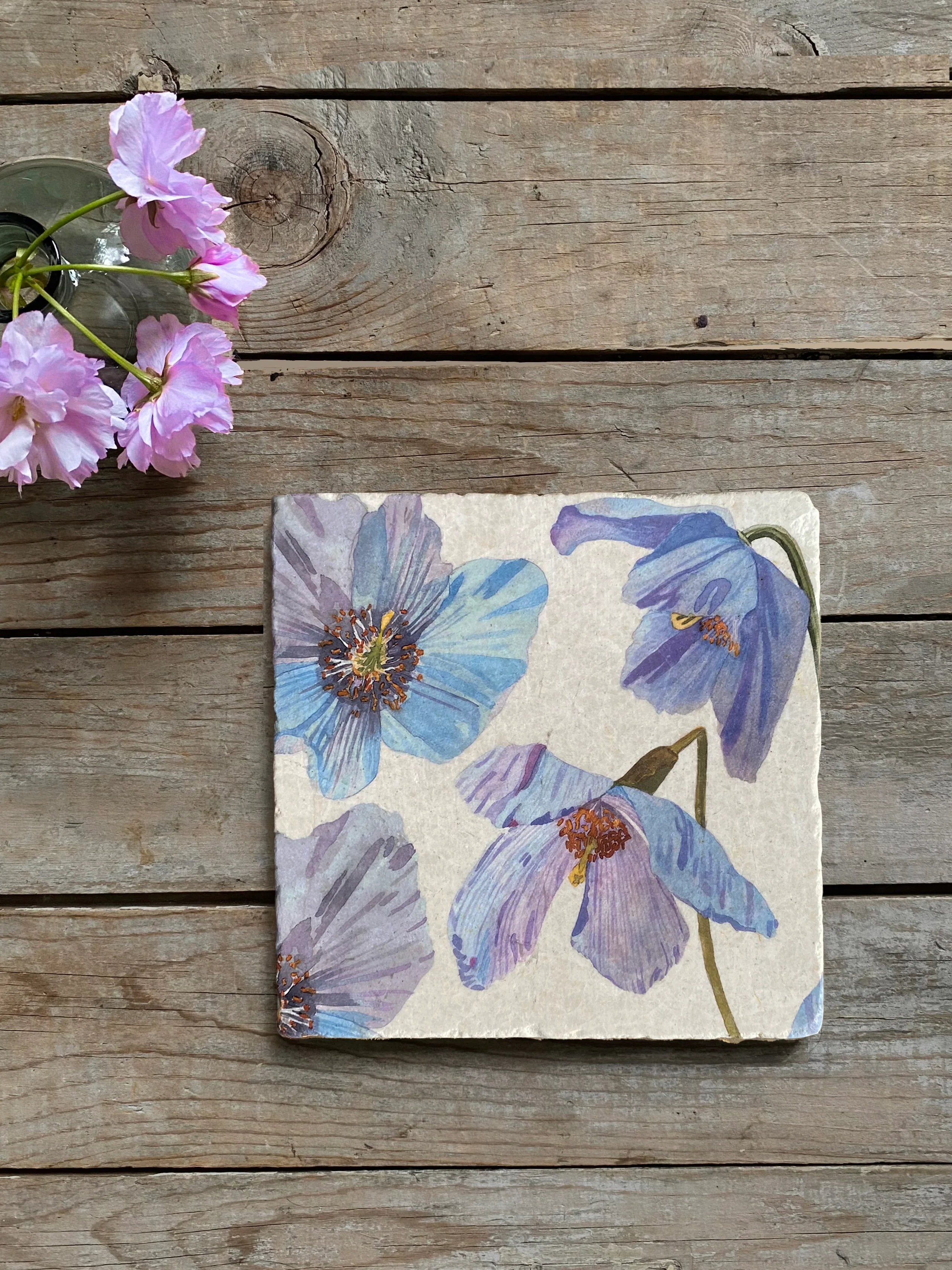 India & Purry Square 4 Piece Trivet Set | Wayfair