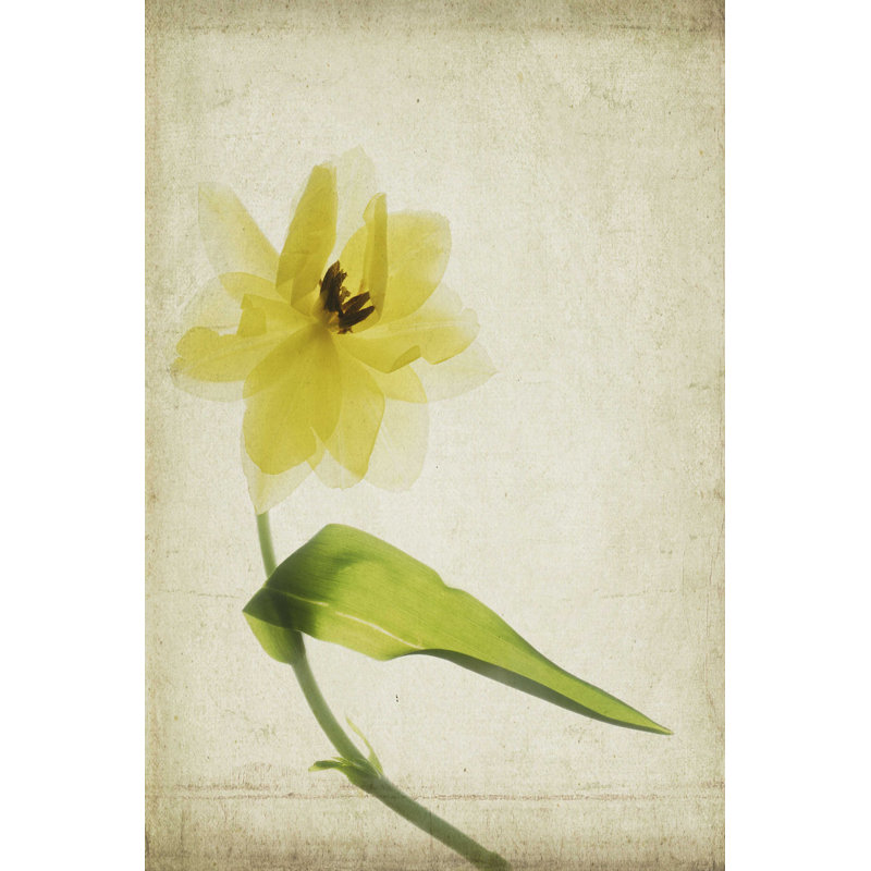 Red Barrel Studio® Parchment Flowers VII | Wayfair