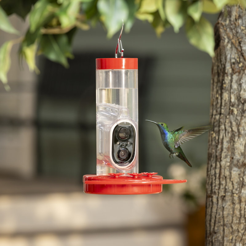 Arlmont & Co. Shirrel LED Smart Hummingbird Feeder with Camera | Wayfair