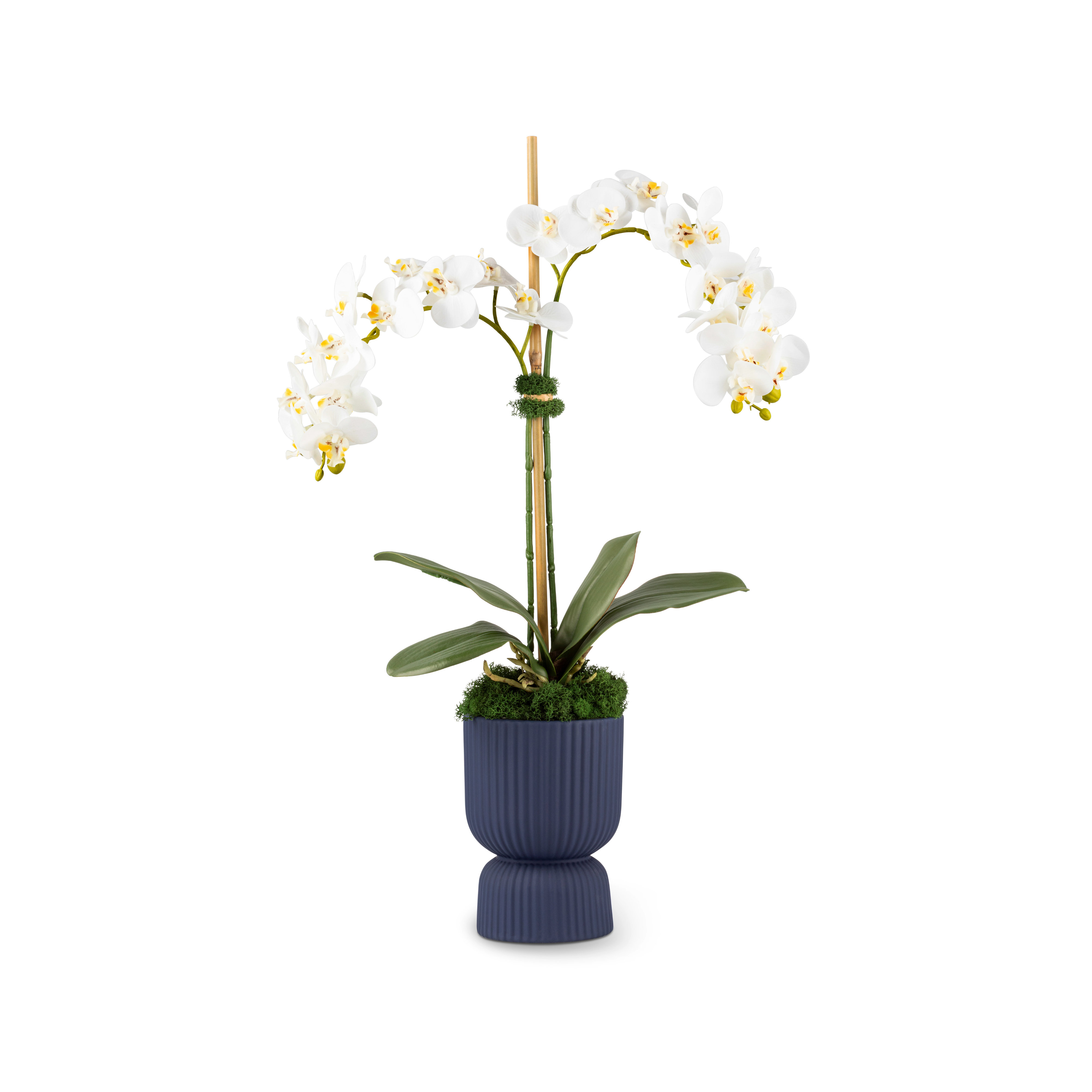 CocoBella Functional Beauty Realtouch Pedestal Orchid | Wayfair