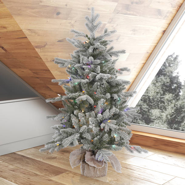 The Holiday Aisle® Frosted Sable Pine Artificial Christmas Tabletop ...