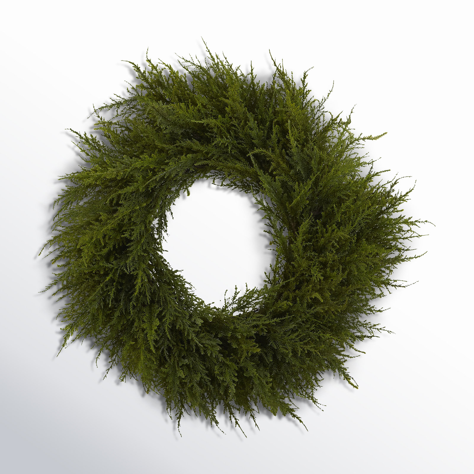 Primrue Cedar 24" Grennery Wreath & Reviews | AllModern