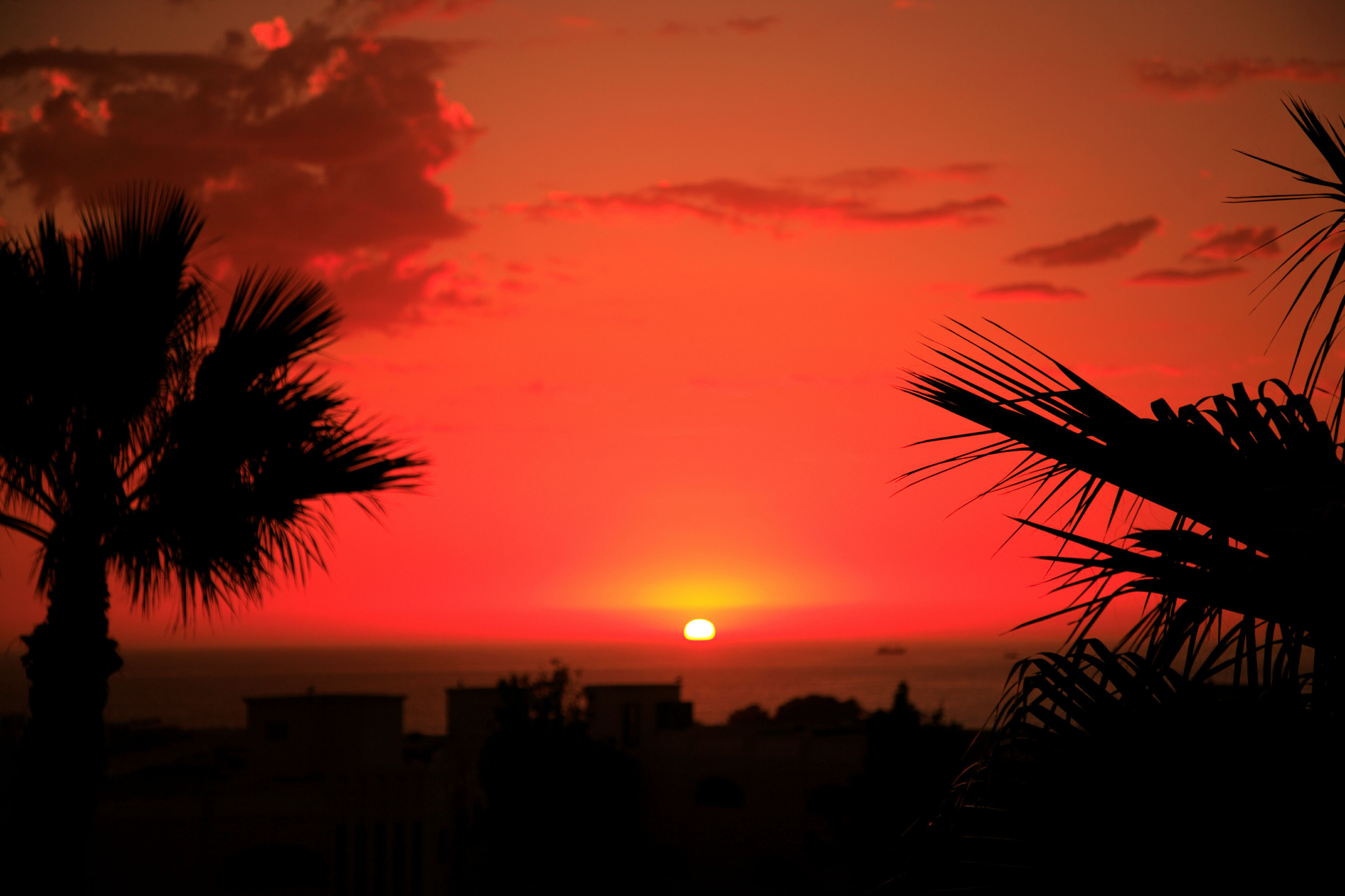 Bay Isle Home™ Willamette Moroccan Sunset - Wrapped Canvas Photograph ...