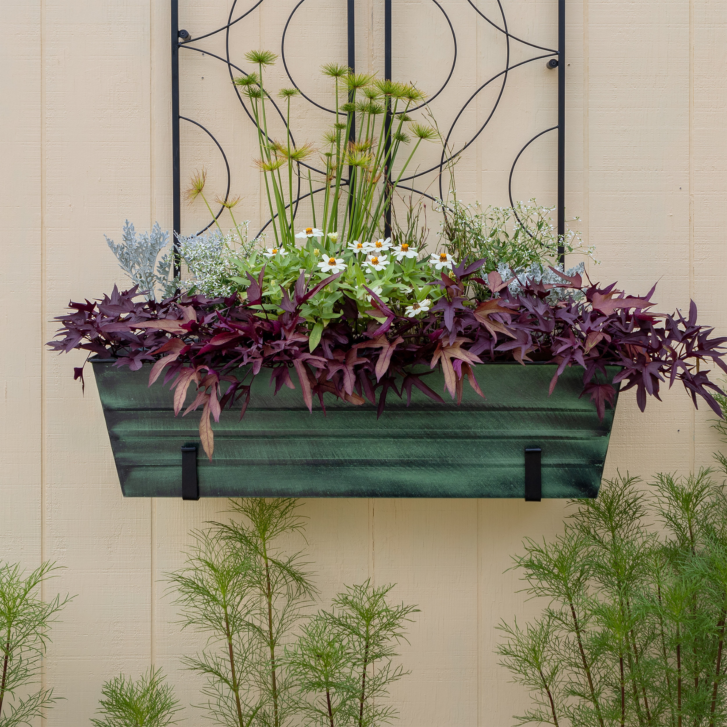 Gracie Oaks Paxtonia Galvanized Steel Window Box Planter & Reviews ...