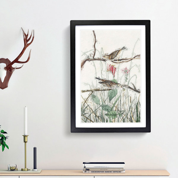 East Urban Home Savannah Finches by John Audubon - Picture Frame ...