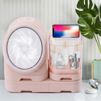 Everly Quinn Makeup Organizer With LED Light And Mirror | Wayfair